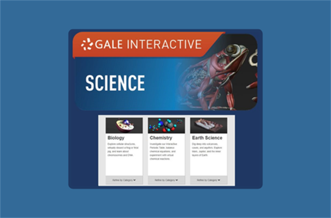 Gale Interactive | Weipa Town Authority